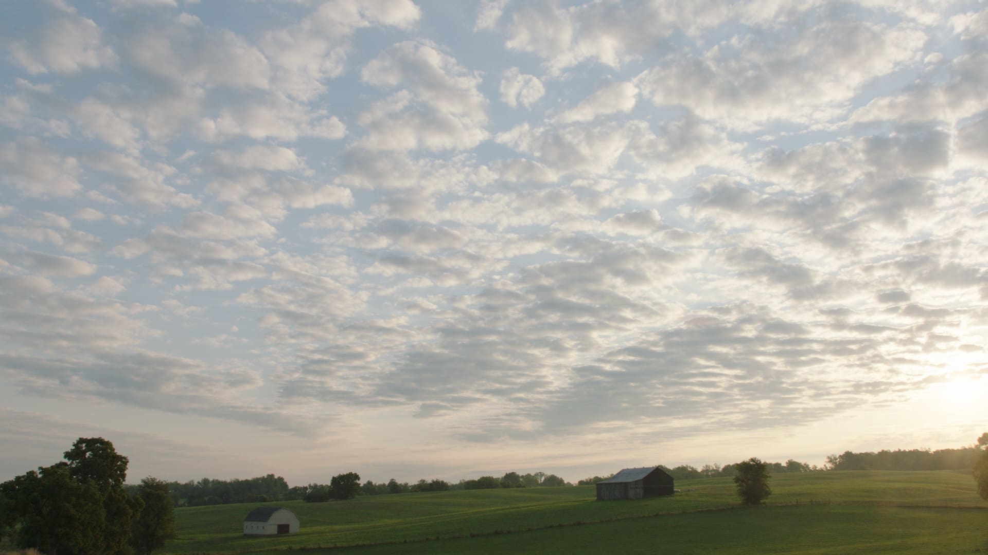 Look & See: Further | Louisville Film Society